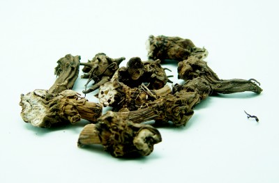 Acónito | Farmacia Museo Aramburu