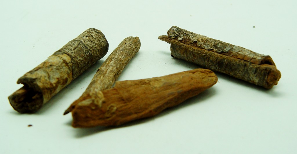 Quina Calisaya | Farmacia Museo Aramburu