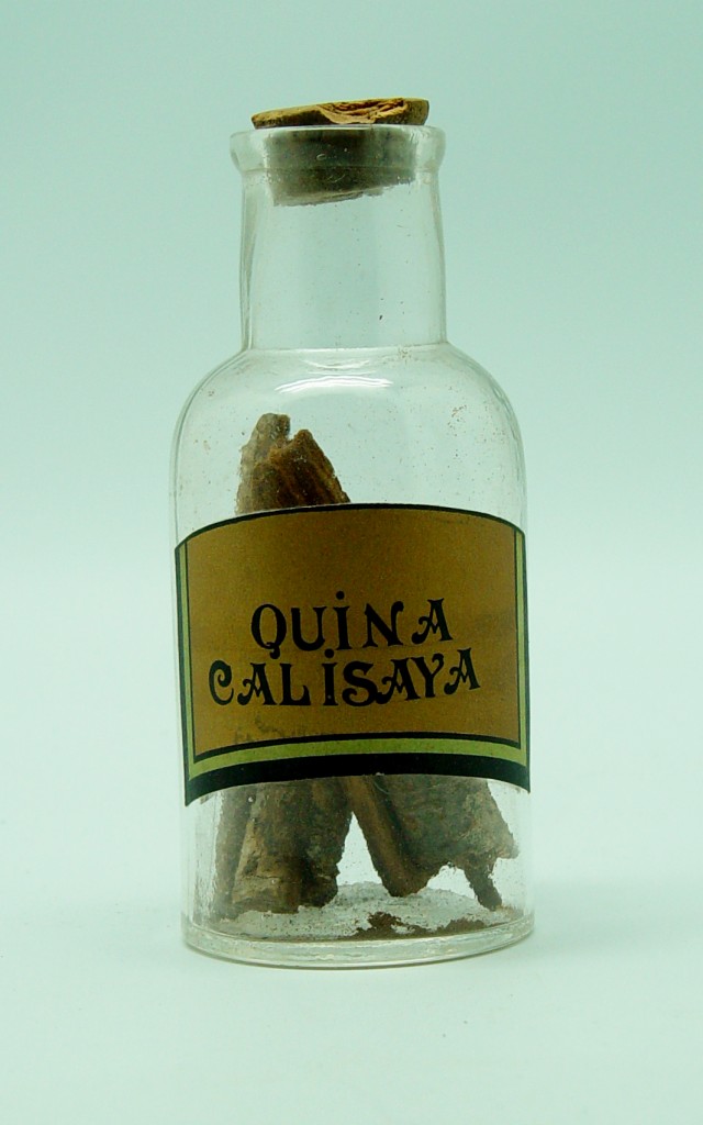 Quina Calisaya | Farmacia Museo Aramburu