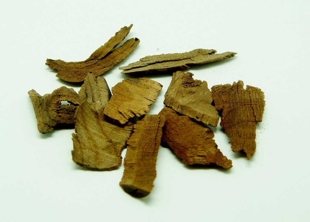 Sasafrás Leño | Farmacia Museo Aramburu