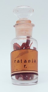 Ratania, raíz | Farmacia Museo Aramburu