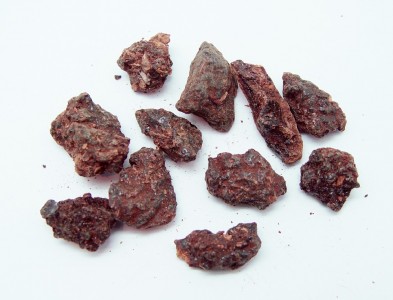 Resina de Guayaco | Farmacia Museo Aramburu